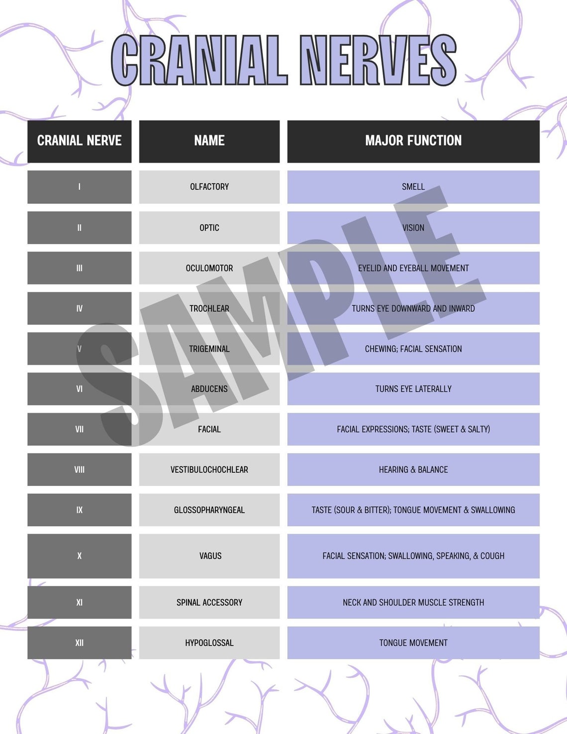 Nursing Student Cranial Nerve Study Guide – Nursing School Notes ...