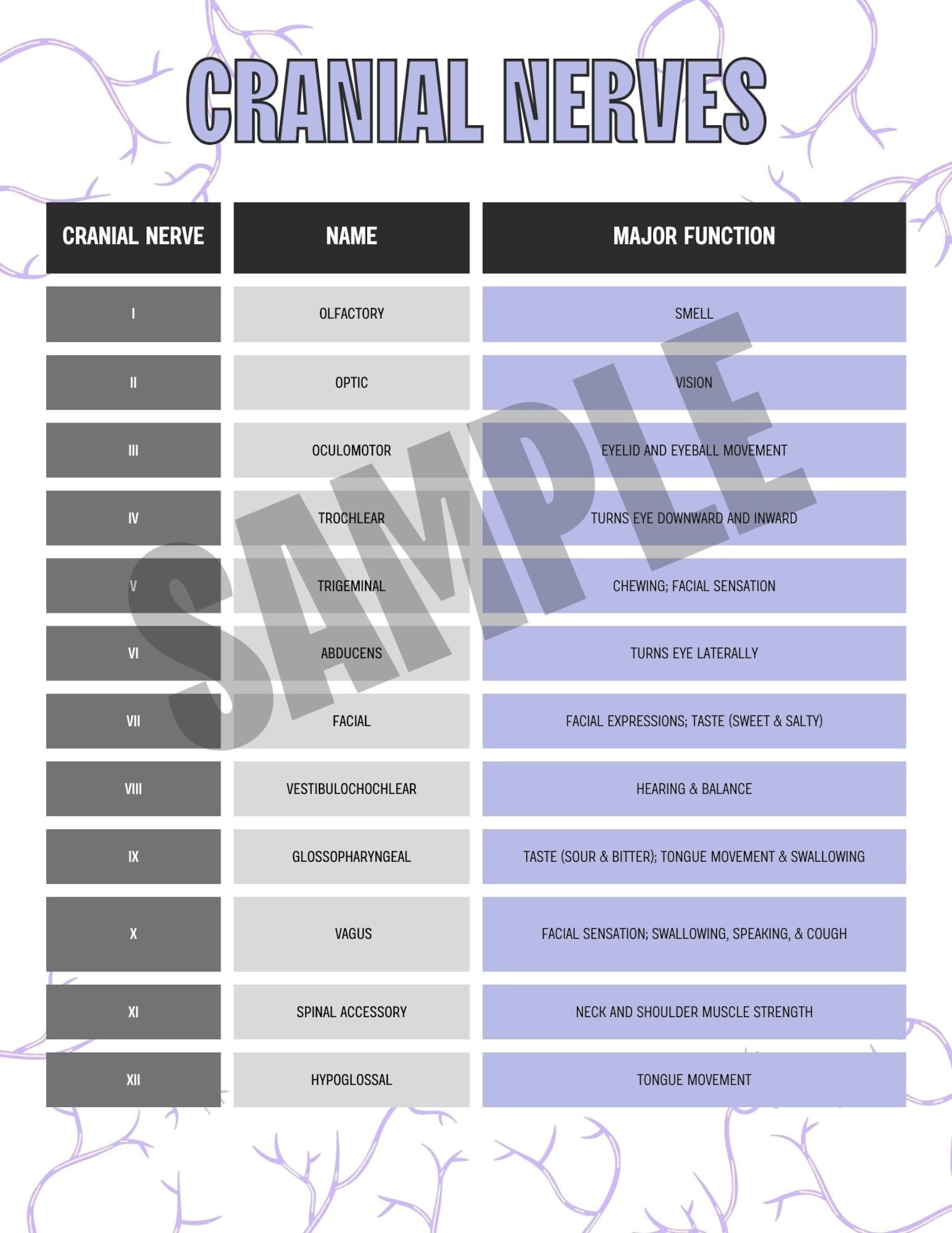 Nursing Student Cranial Nerve Study Guide – Nursing School Notes ...