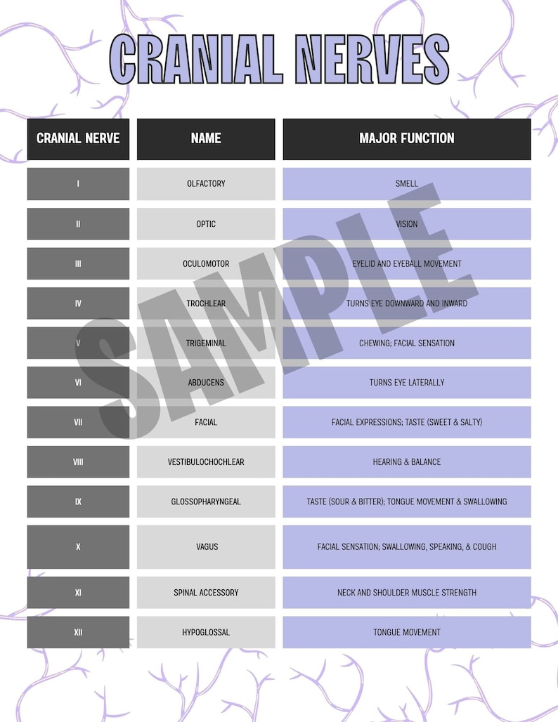 Nursing Student Cranial Nerve Study Guide Nursing School Notes Cranial ...