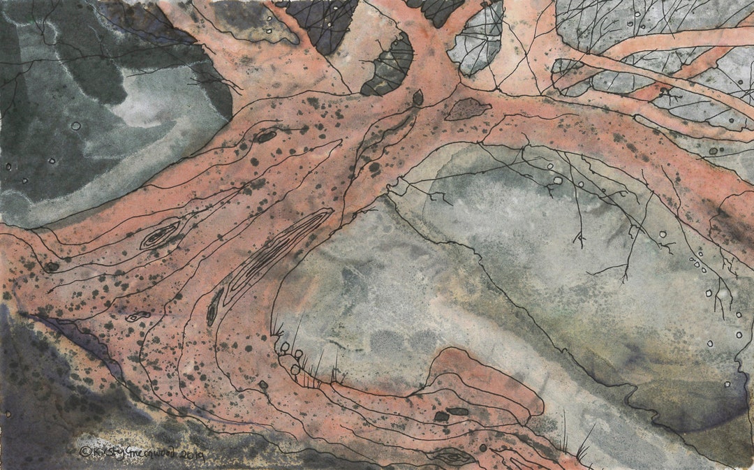 Contorted Beech Hackfall Woods, Illustration Print by Kirsty Greenwood ...