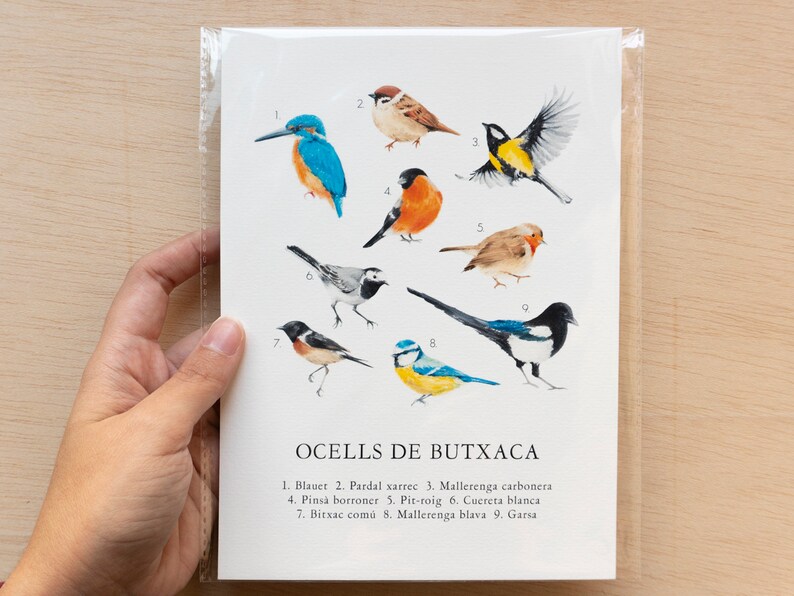 Infographic Sheet Pocket Birds - Etsy