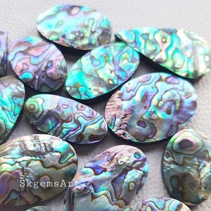 Abalone Shell/shell Cabochon Wholesale Lot by Weight With Different ...