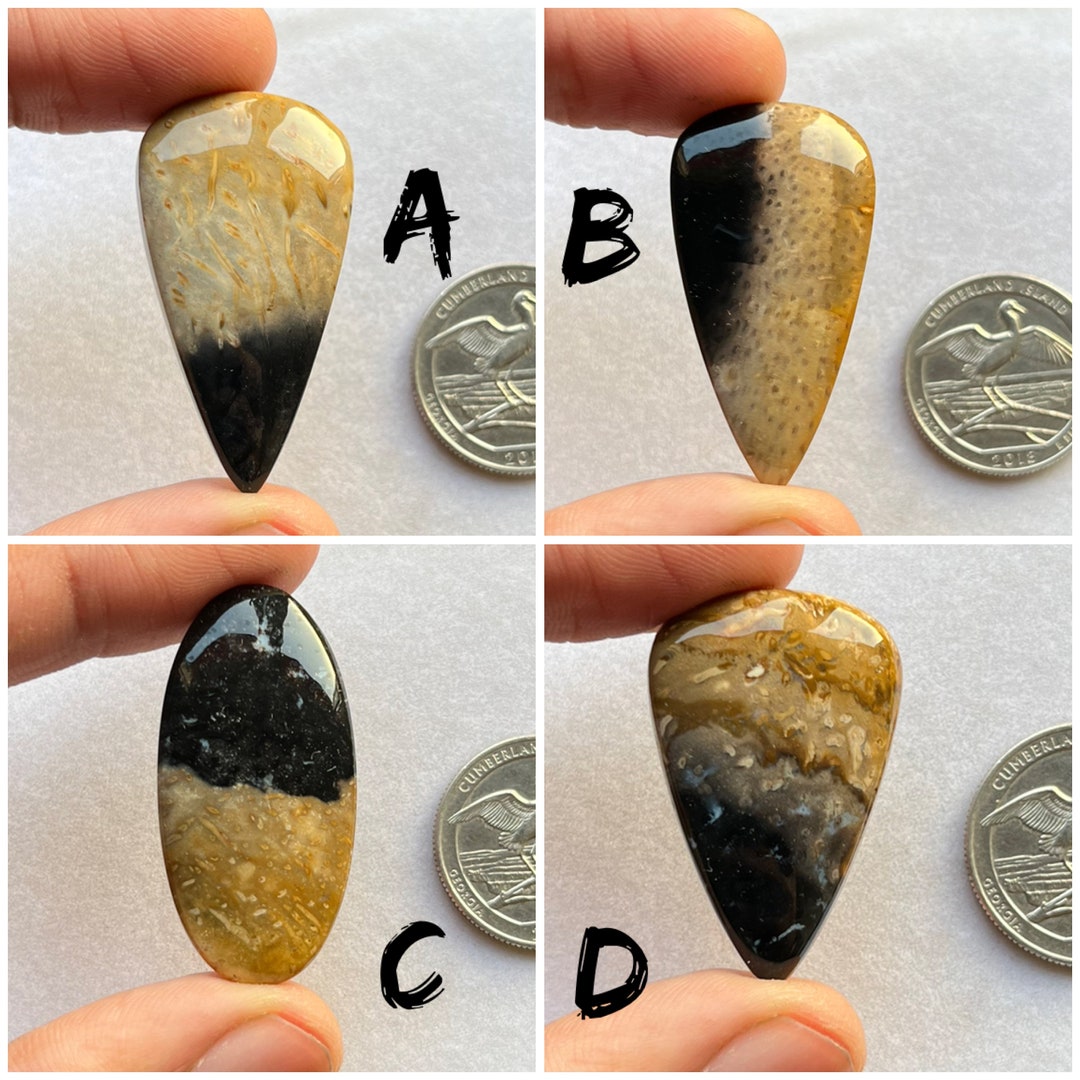 Natural Palm Root Jasper Cabochon Loose Gemstone for Making Jewellery ...