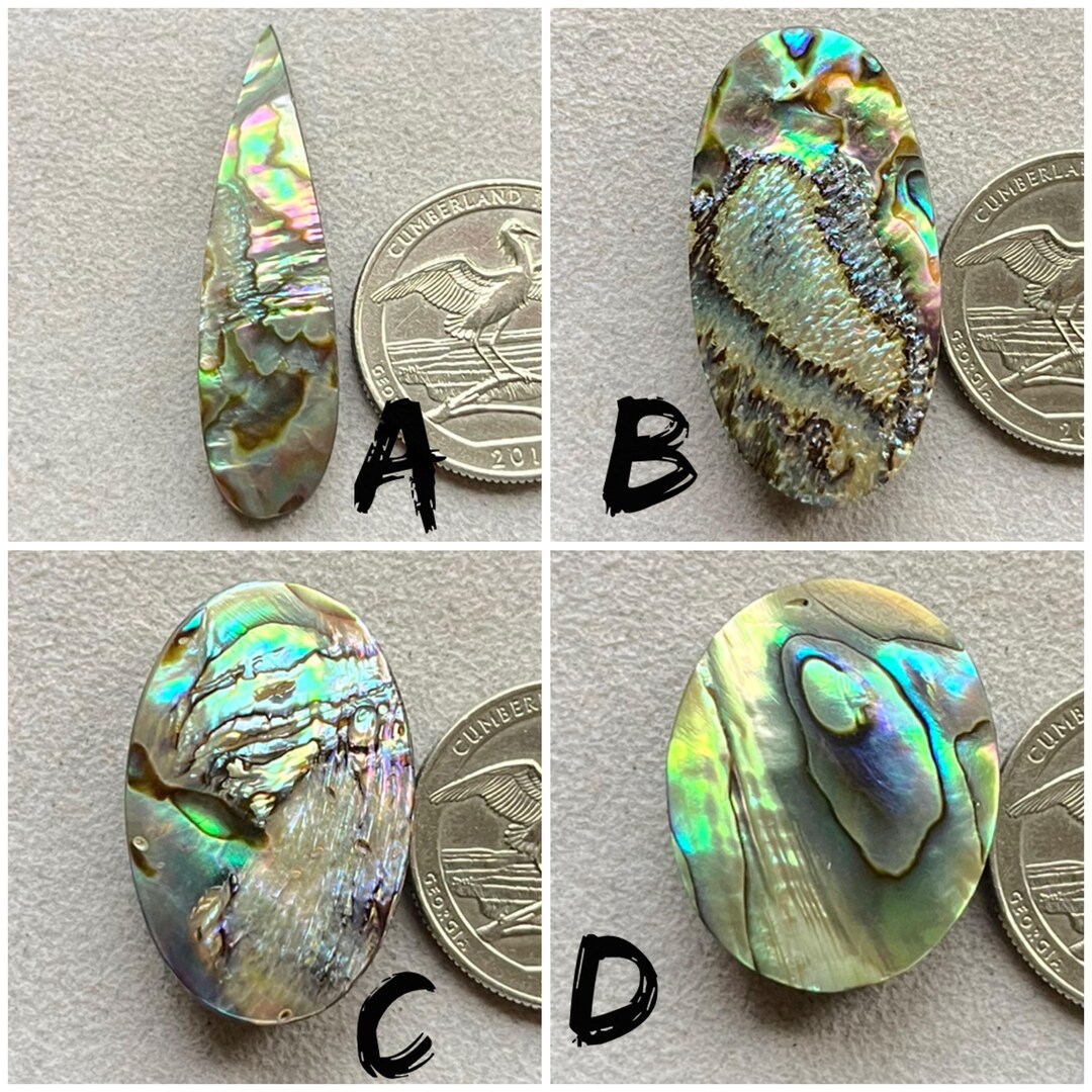 Abalone Shell , Color Shell Cabochon, With Very Cheap Price Loose ...