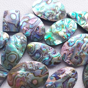 Abalone Shell/shell Cabochon Wholesale Lot by Weight With Different ...