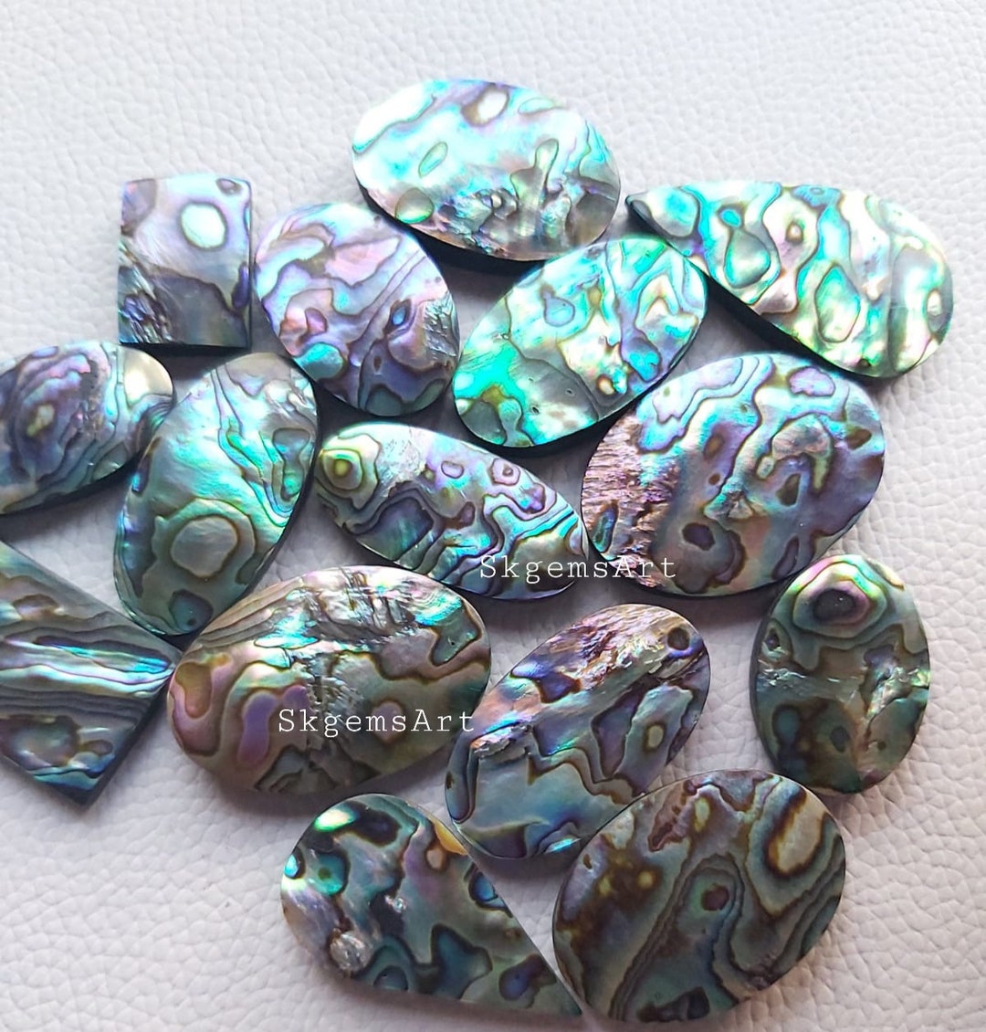 Abalone Shell/shell Cabochon Wholesale Lot by Weight With Different ...