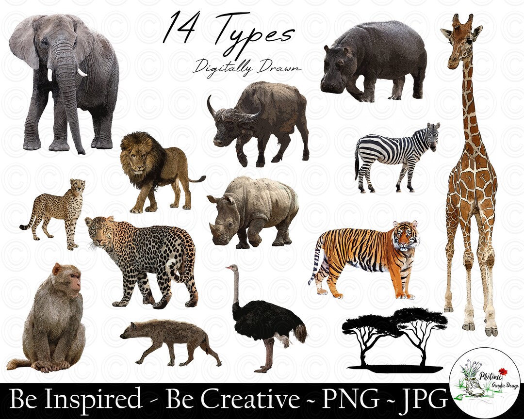 14 Safari Animals PNG Clipart Wild Animal Jpeg Wildlife Nature PNG ...