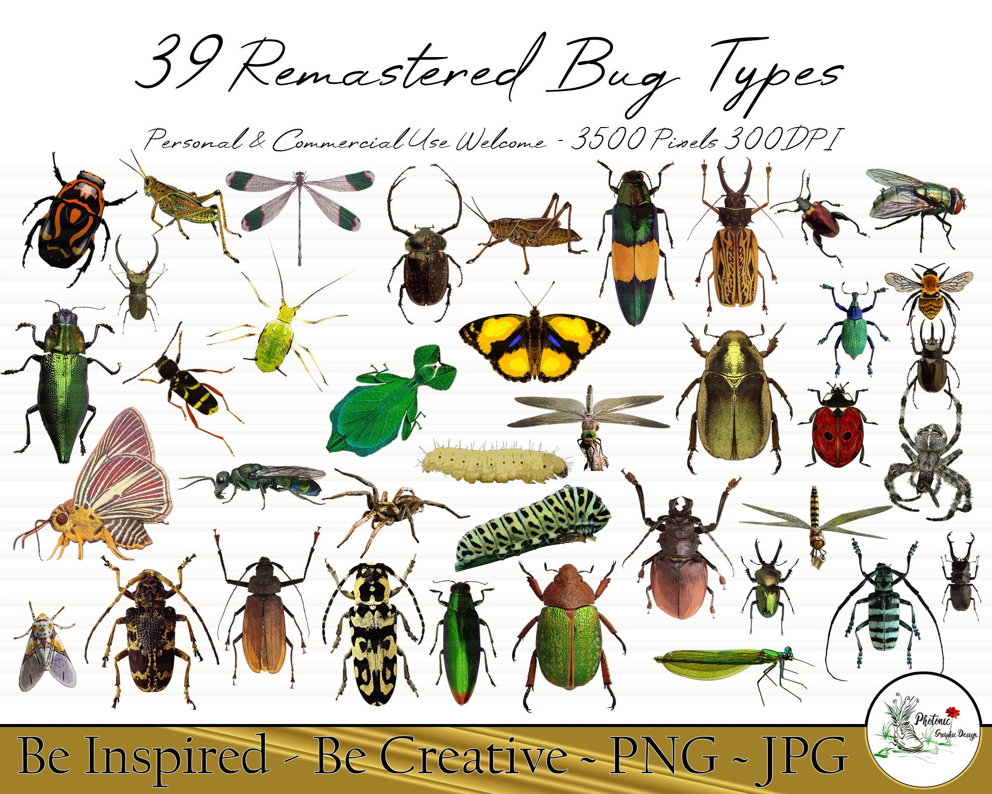 39 Bug Clipart Bugs Insect Designs Nature Wildlife Clip Art - Etsy