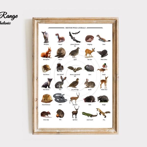 Wildlife Poster - Etsy UK
