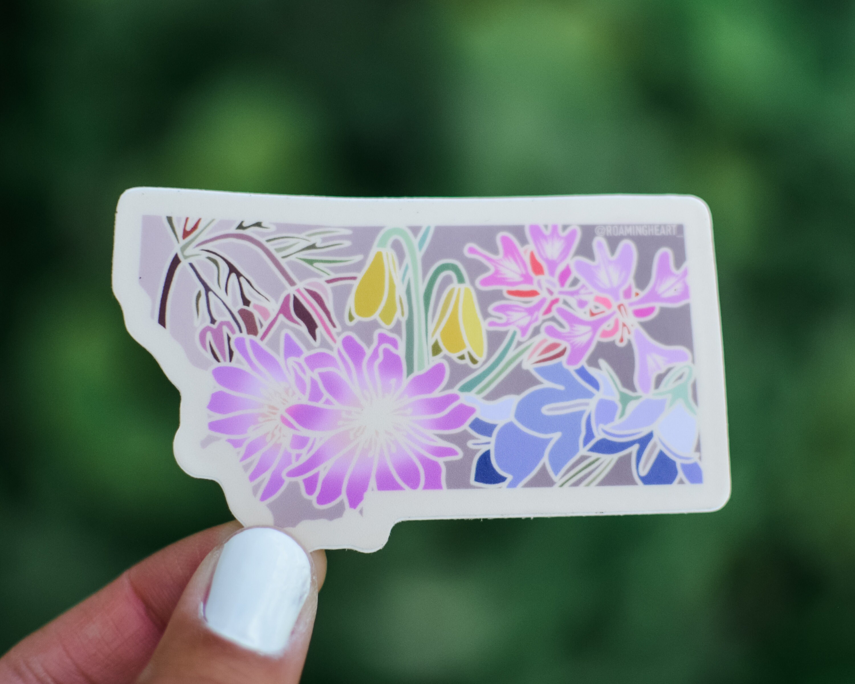 Montana Wildflower Sticker Montana State Flower Montana - Etsy