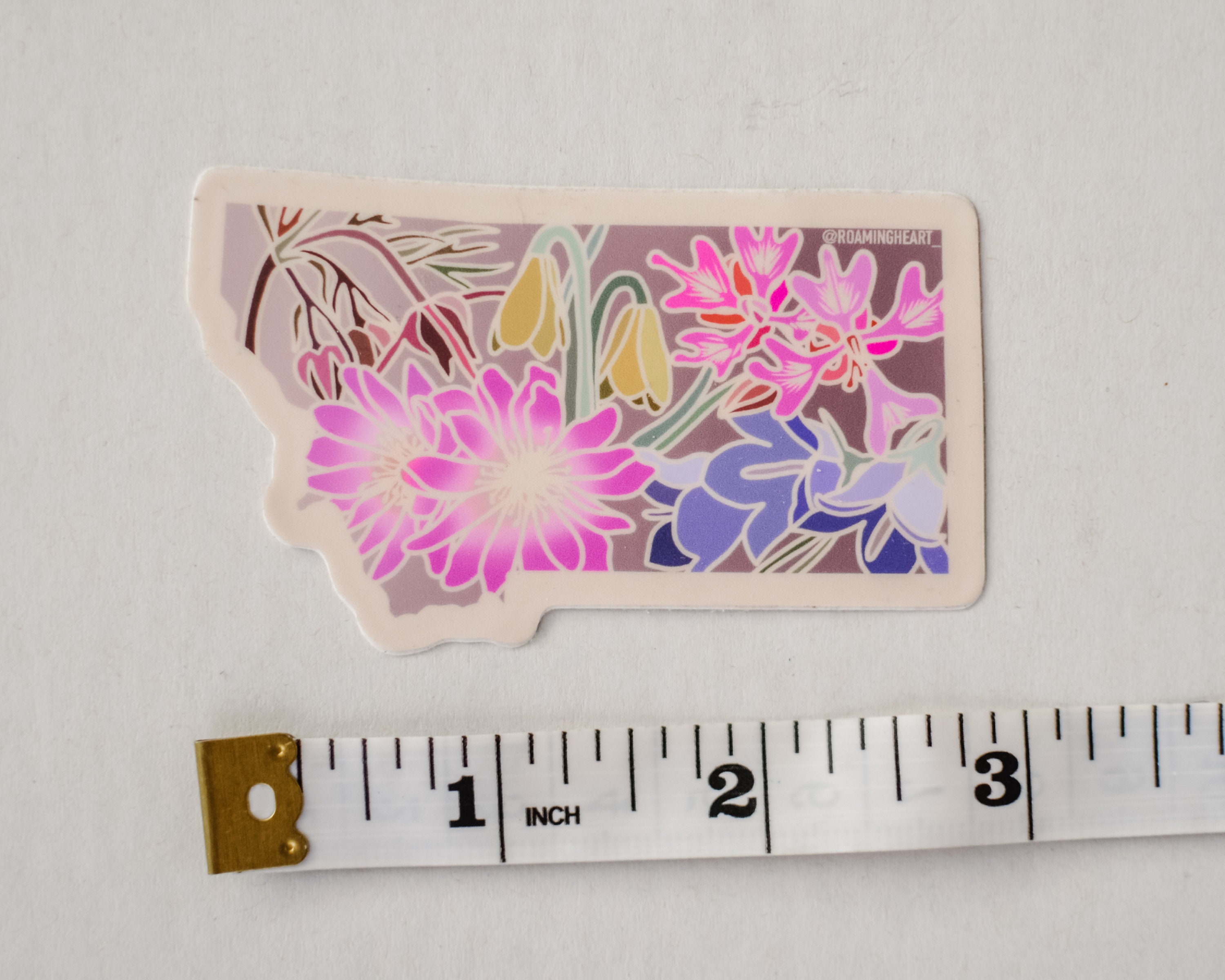 Montana Wildflower Sticker Montana State Flower Montana - Etsy