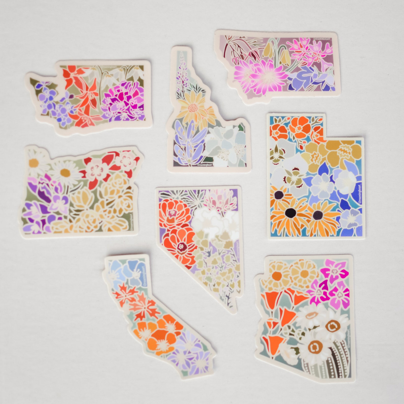 Montana Wildflower Sticker Montana State Flower Montana - Etsy