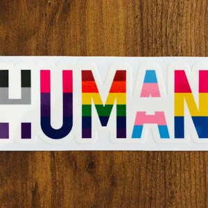 Pride Socks 2-pack HUMAN Sticker - Etsy