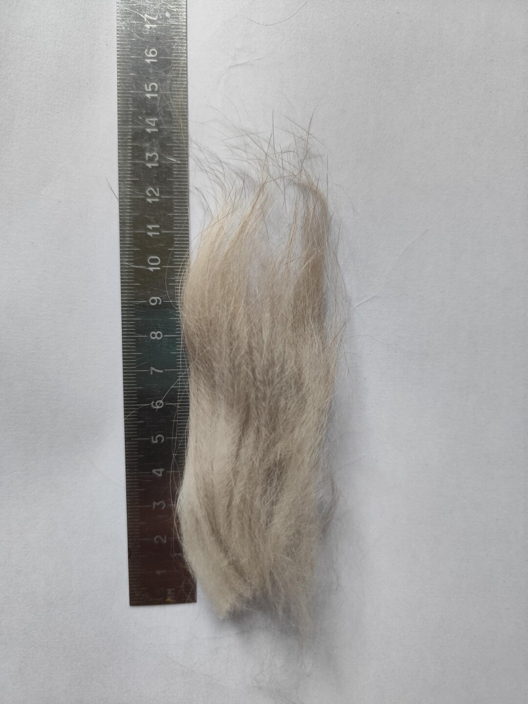 Angora Rabbit Raw Wool 151g From Chocolate havanna Colored Rabbit. - Etsy