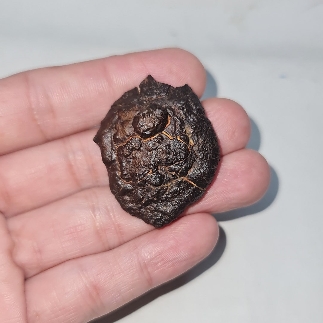 30 g Pierre de prophétie / Pierre de prophétie Egypte / Hématite de ...