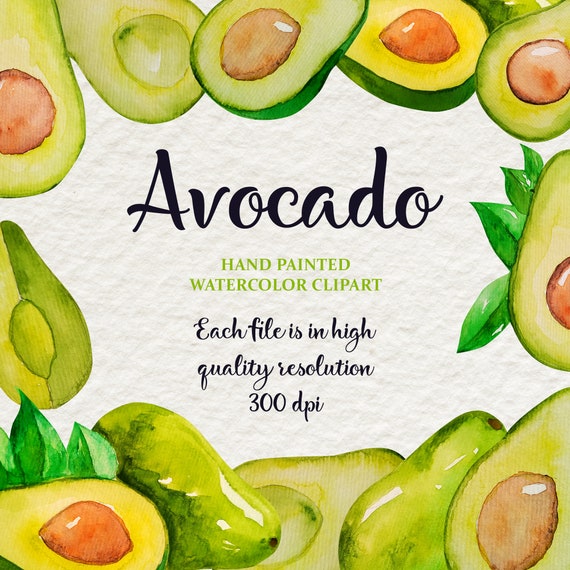 Watercolor Avocado clipart set hand painted graphics digital | Etsy