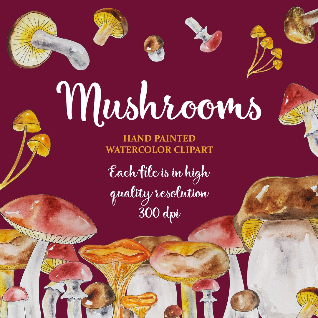 Watercolor Mushrooms Clipart Set, Hand Painted Graphics, Digital ...
