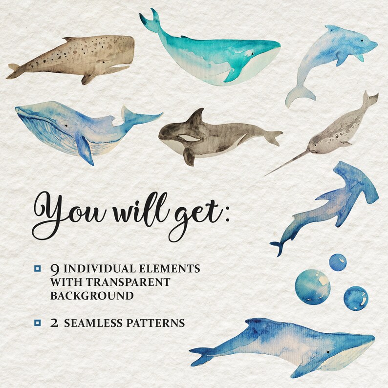 Watercolor Sea & Whales Clipart Set, Hand Painted Graphics, Digital ...