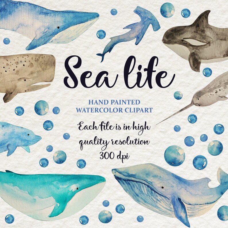 Watercolor Sea & Whales Clipart Set, Hand Painted Graphics, Digital ...