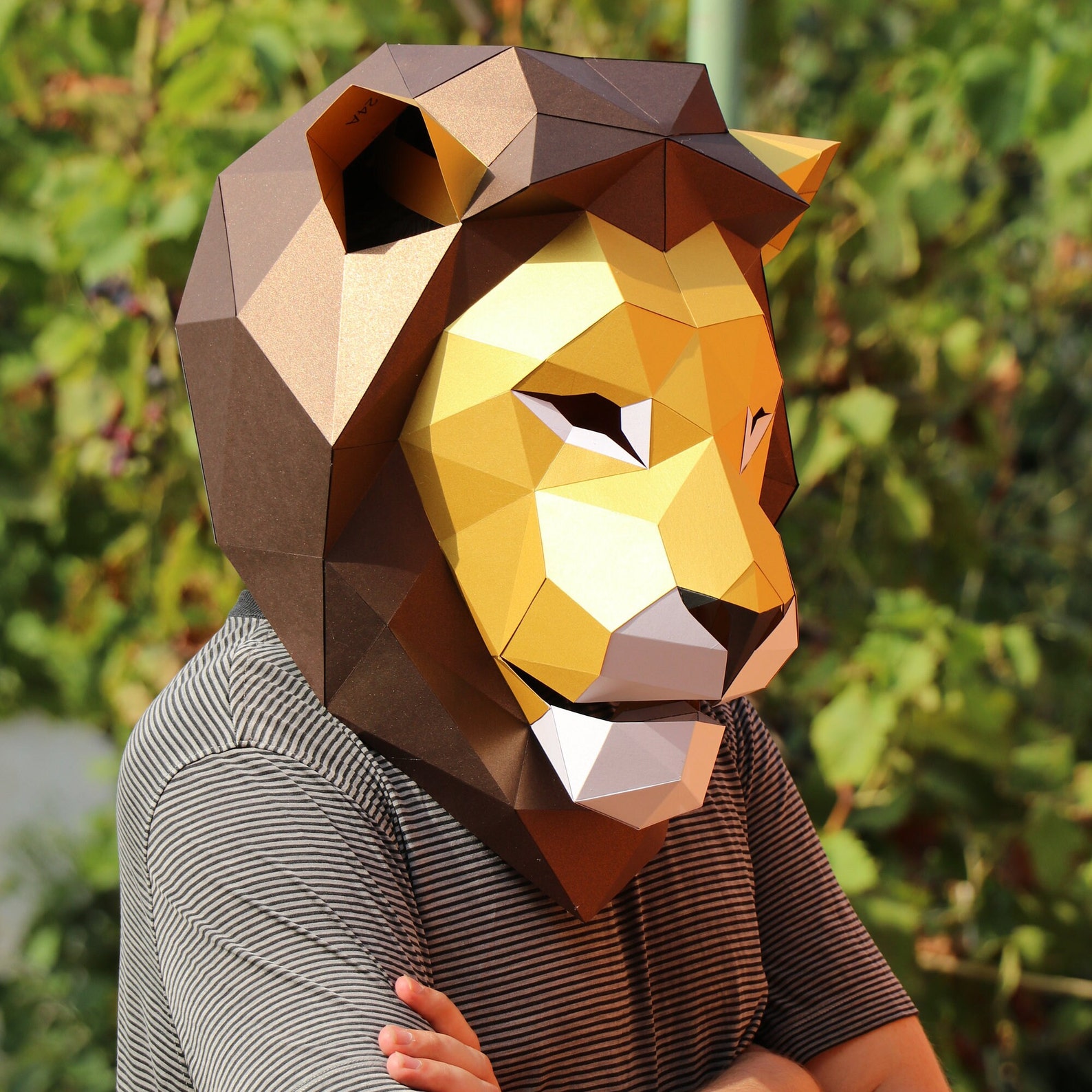 DIY Lion Mask 3D Paper Craft Template Halloween Mask | Etsy