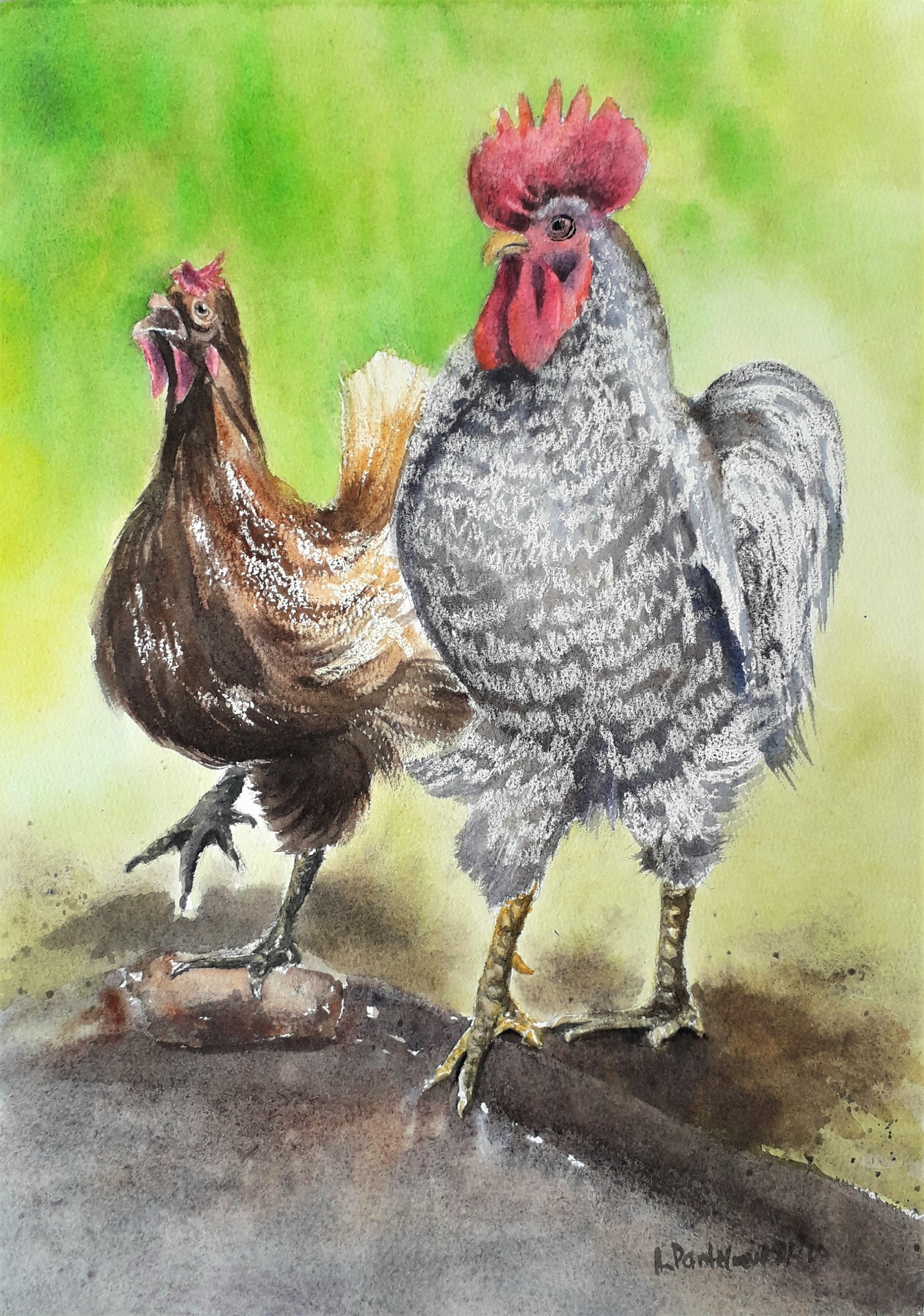 Chicken and Rooster Original Watercolor Painting,hem Painting,country ...