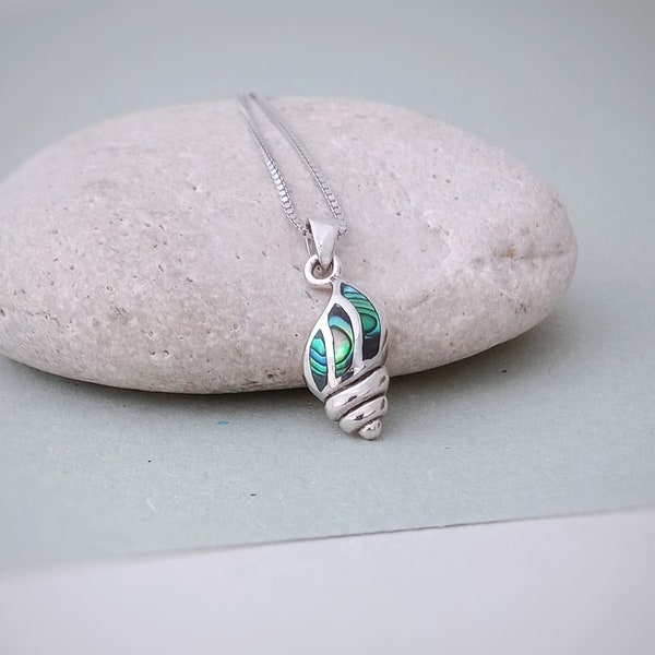 Conch Seashell - Etsy