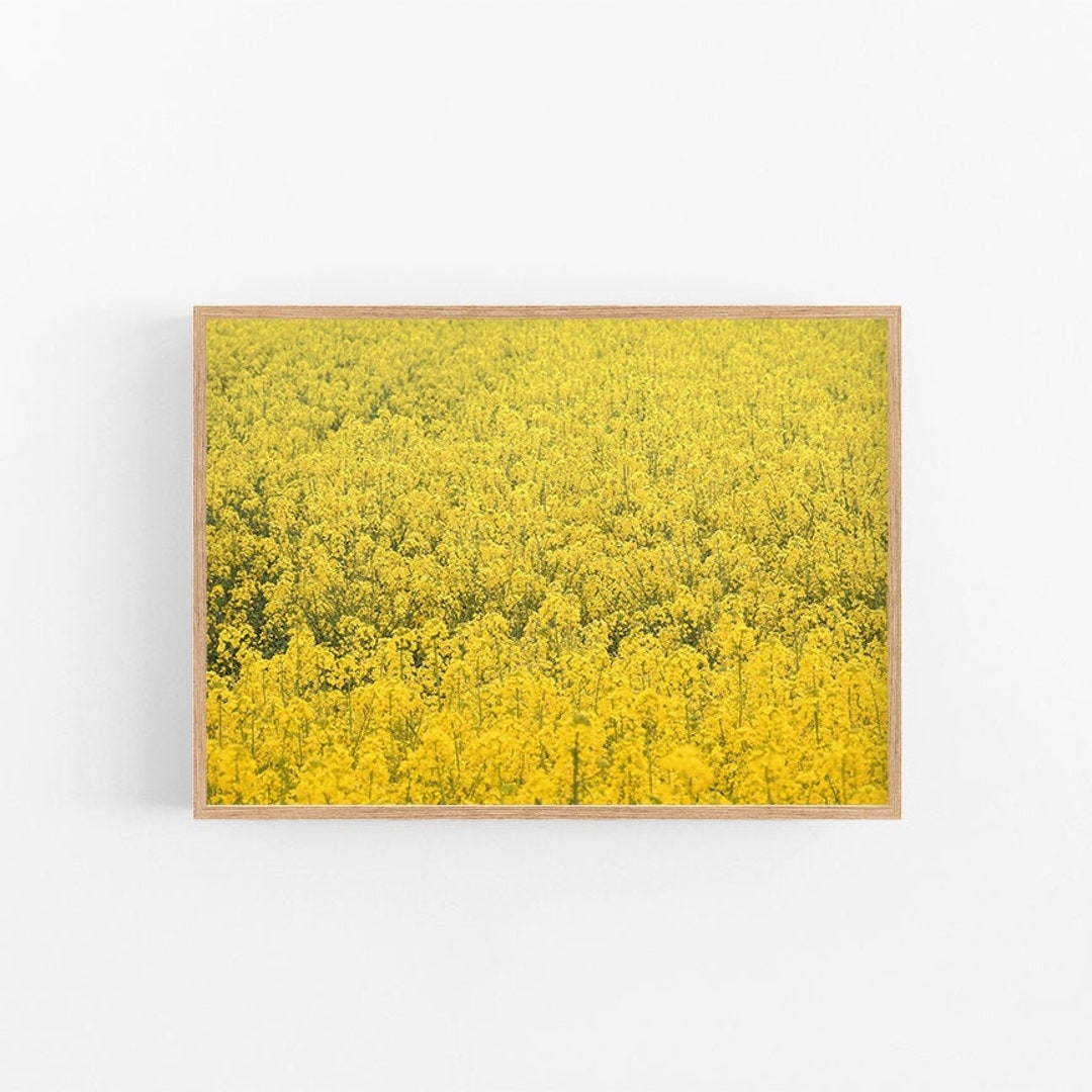 Printable Wall Art, Yellow Field of Flowers Bursting Into Bloom Print ...