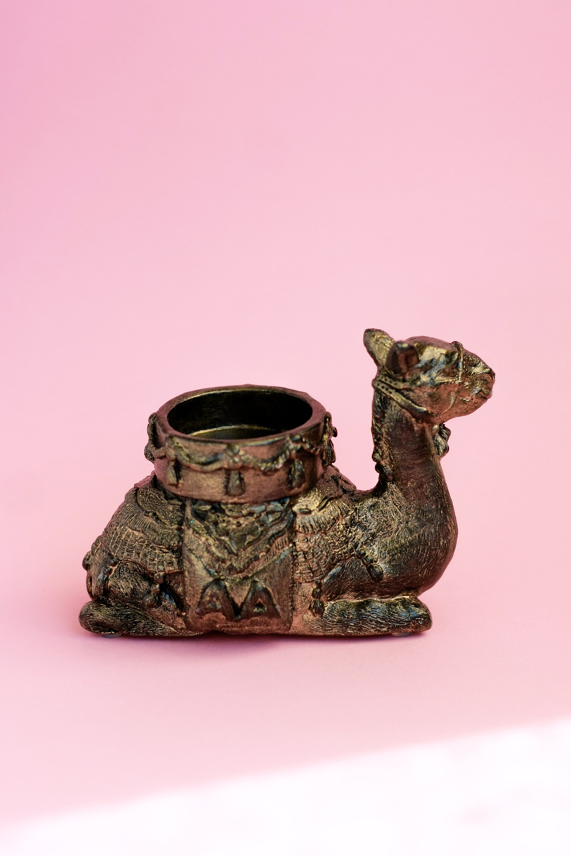 Camel AA symbol NA recovery gifts 12 step rehabilitation | Etsy