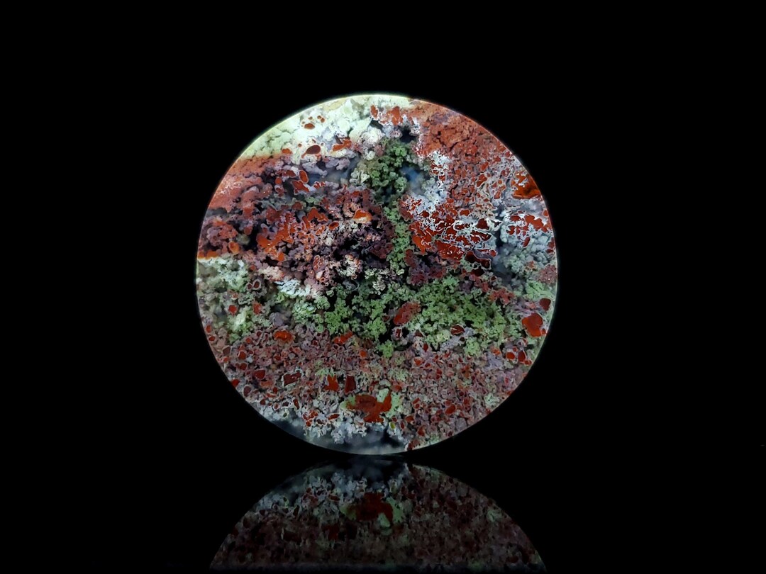 Beautiful Scenic Cabochons Java Moss Agate ( 35mm X 5mm ) - Etsy