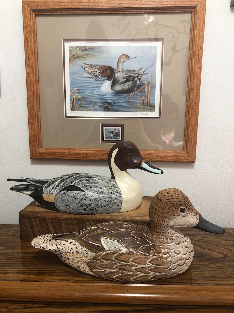 Beautiful Pintails Hen and Drake Ducks Signed by Artist L Aldrich Along ...