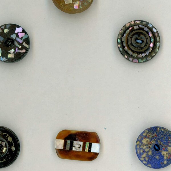Special Card of 9 Inlay Buttons All Antique. Paper Mache, Composition ...