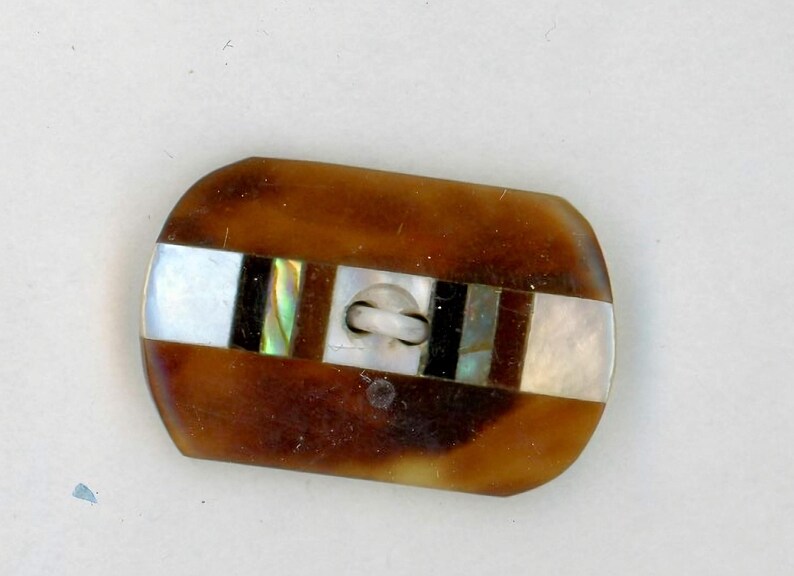 Special Card of 9 Inlay Buttons All Antique. Paper Mache, Composition ...