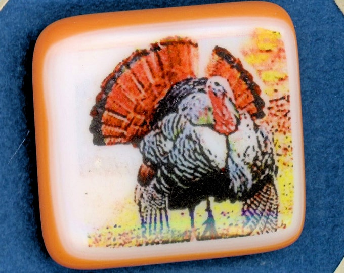Wonderful Turkey Button Not Commonly Found on Buttons Mary Gaumond ...