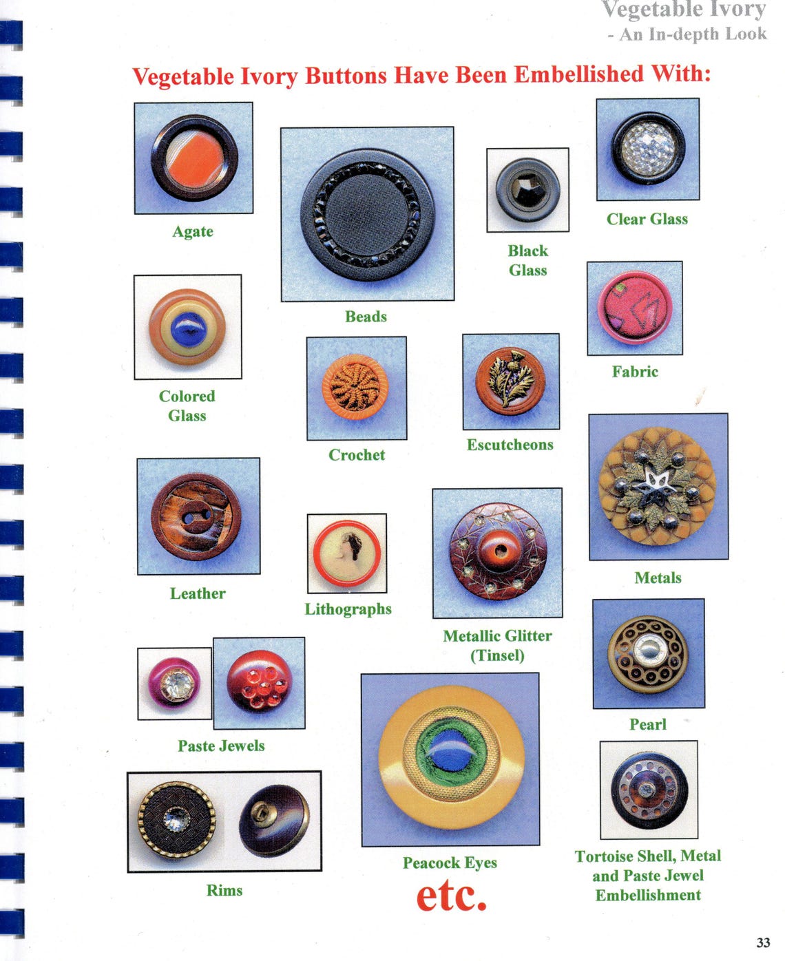 A Must for Every Button Collector. Out of Print. From Nut to Button ...
