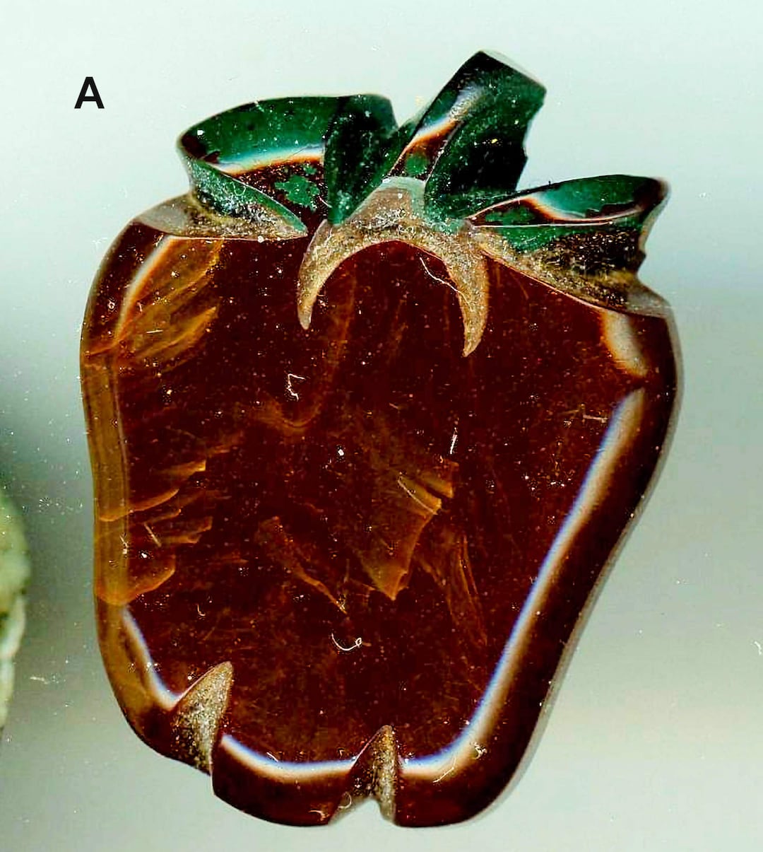 Bakelite Green Pepper Button Carved Details Inserted Shank Realistic 15 ...