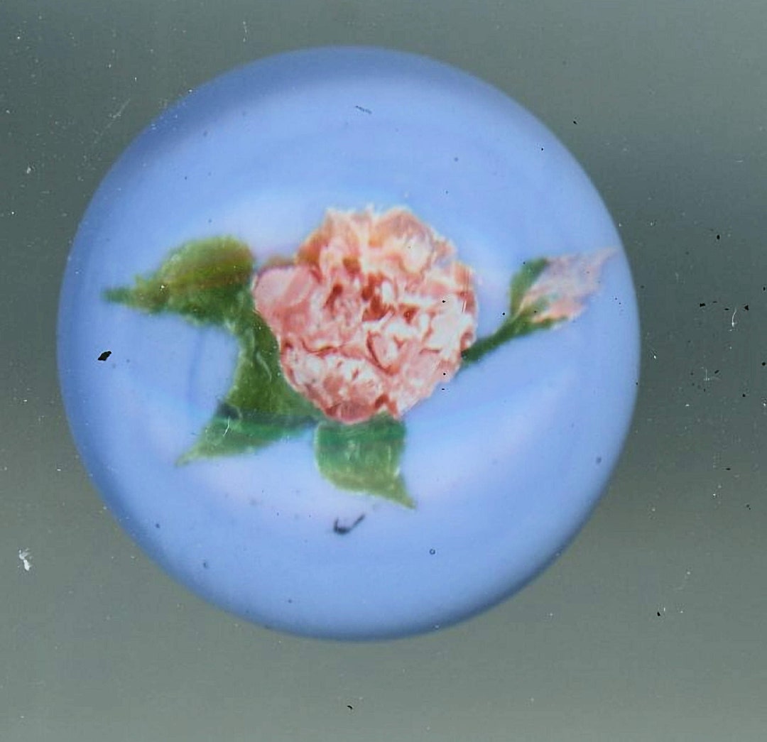 Pretty Pink Rose Hand Paintee by Jennine O'conner John Gooderham's ...