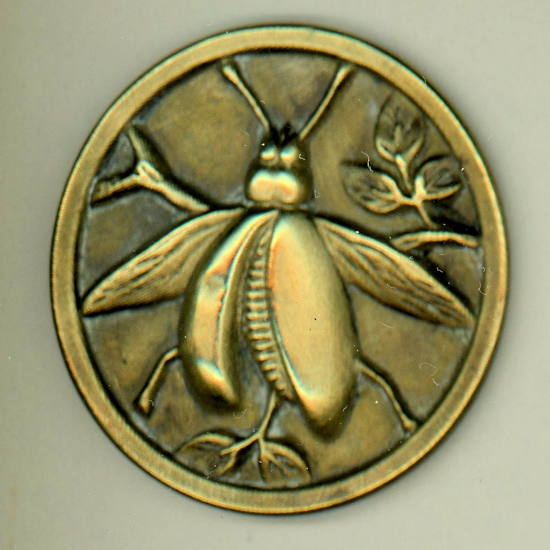 Large Antique Button Beetle With Wing Case Partially Opened Stamped ...