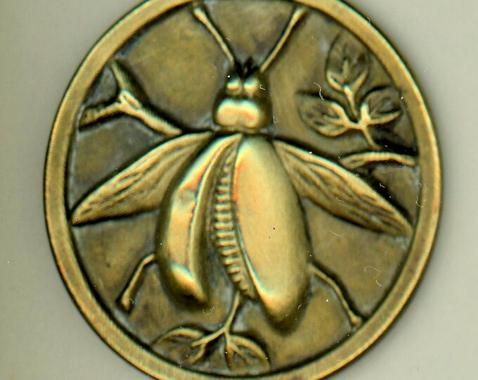 Large Antique Button Beetle With Wing Case Partially Opened Stamped ...