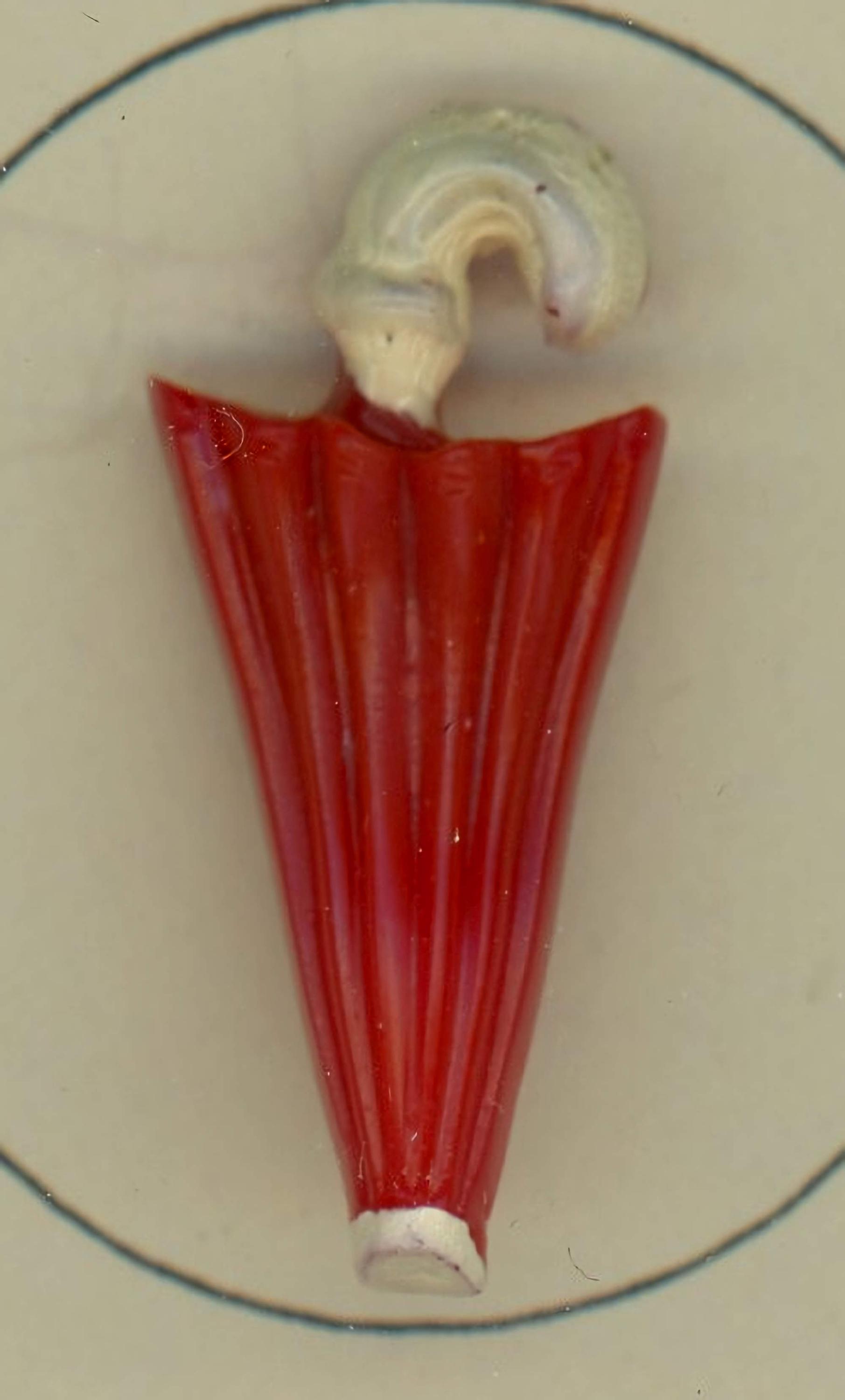 Card of 13 Fun and Special Assorted Plastic Buttons Acorns Bakelite ...