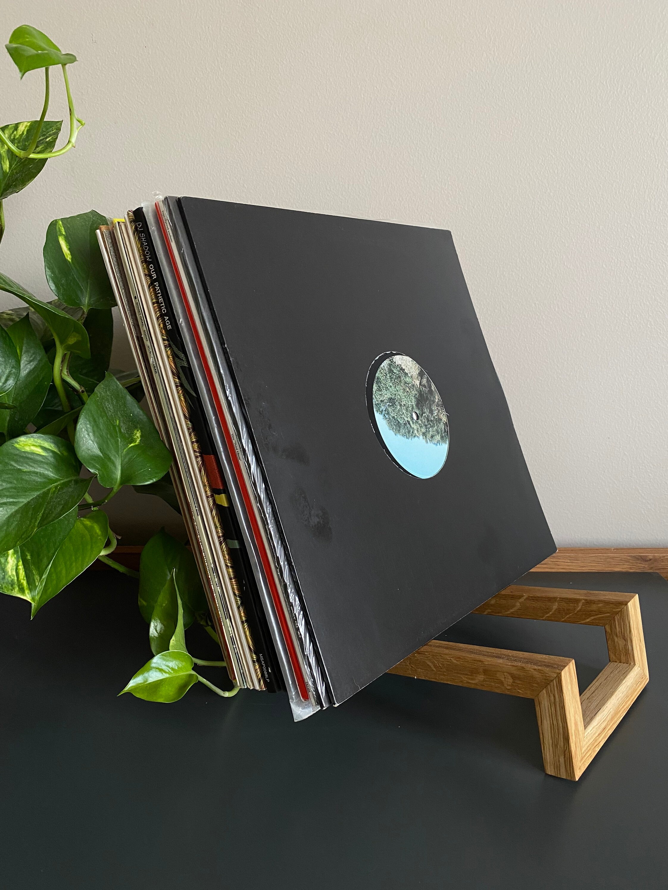 Unique Vinyl Rack Wood Vinyl Records Storage Modern Design - Etsy Australia
