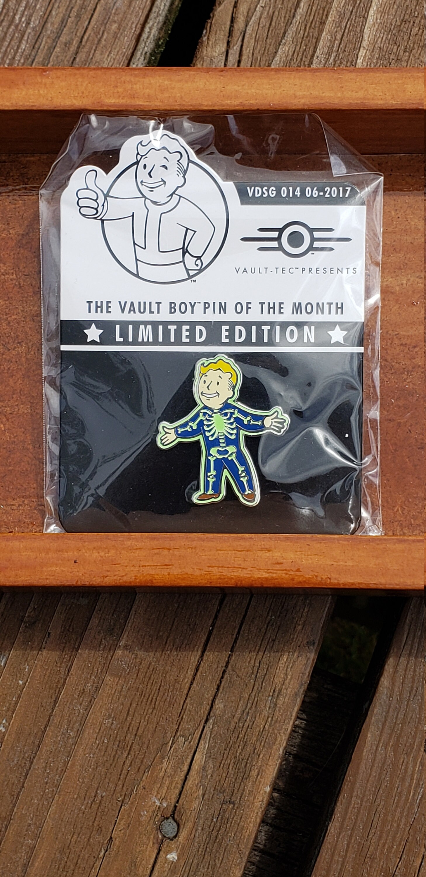 Fallout 4 Pins in Hand Refurbished Display Case - Etsy UK