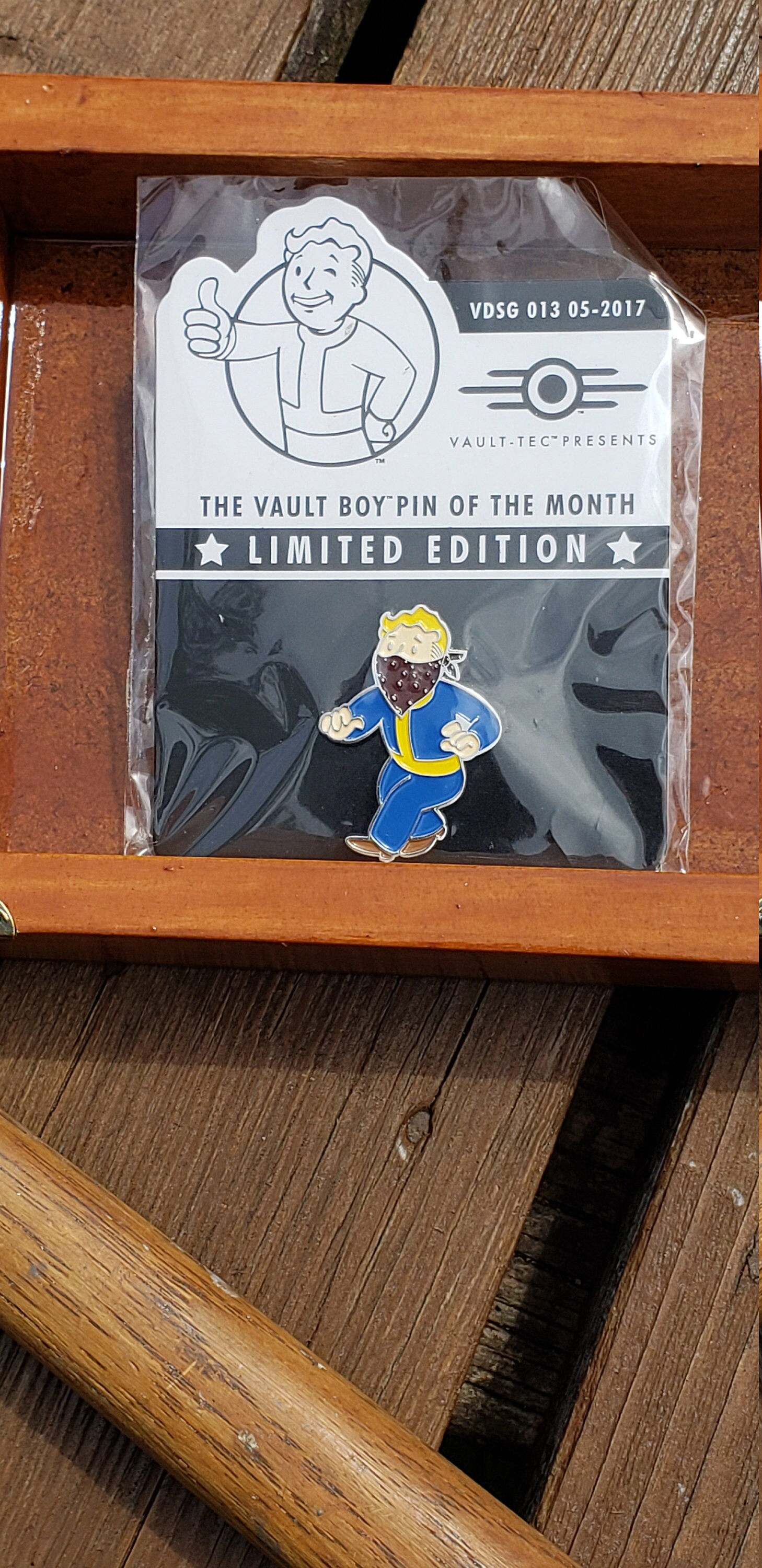 Fallout 4 Pins in Hand Refurbished Display Case - Etsy UK