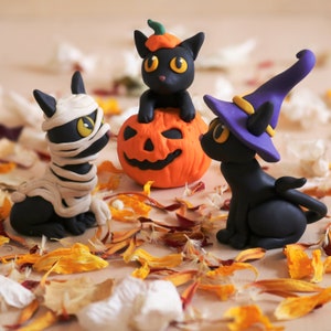 Halloween Cats!! With Witch Hat, as a Mummy and Inside a Pumpkin ...