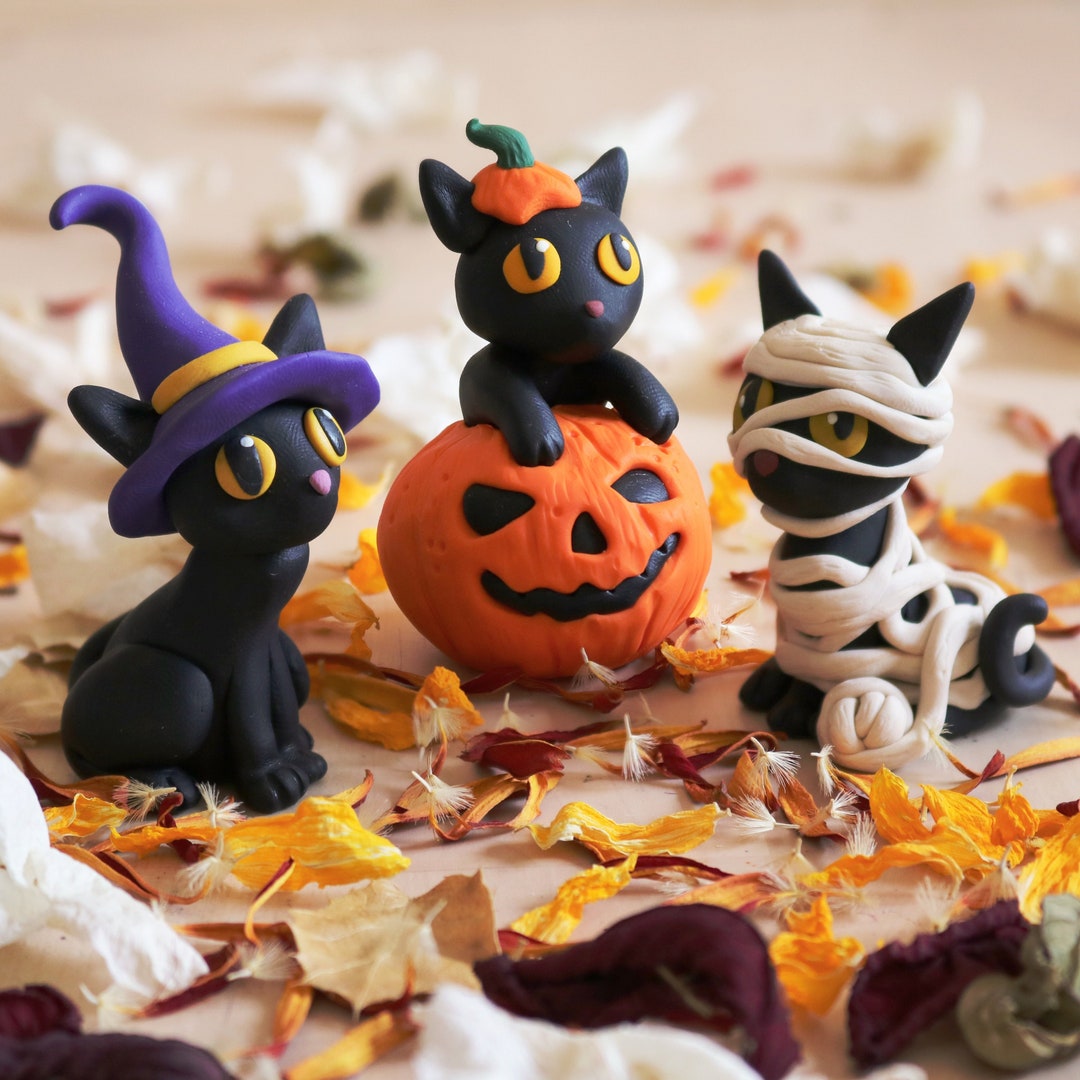 Halloween Cats!! With Witch Hat, as a Mummy and Inside a Pumpkin ...