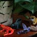Animal Figures Frog Hummingbird Salamander and Monkey - Etsy