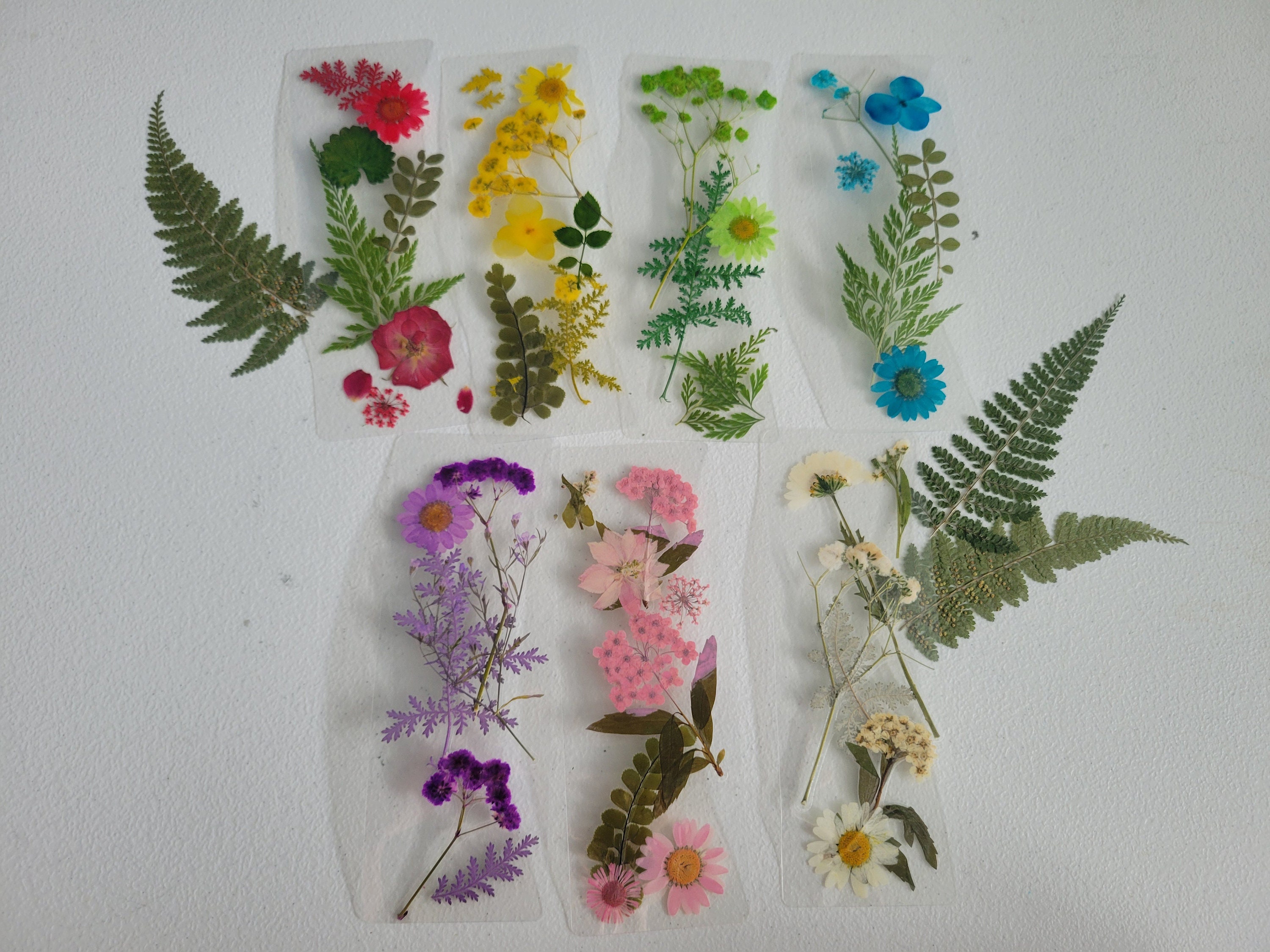 Pressed Flower Laminated Bookmark | Real Dried Flowers | Handmade ...