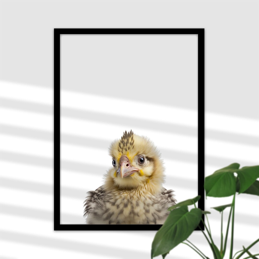 Baby Chick Farm Animals Poster for Kids Room - Chicken Mural Decoration ...