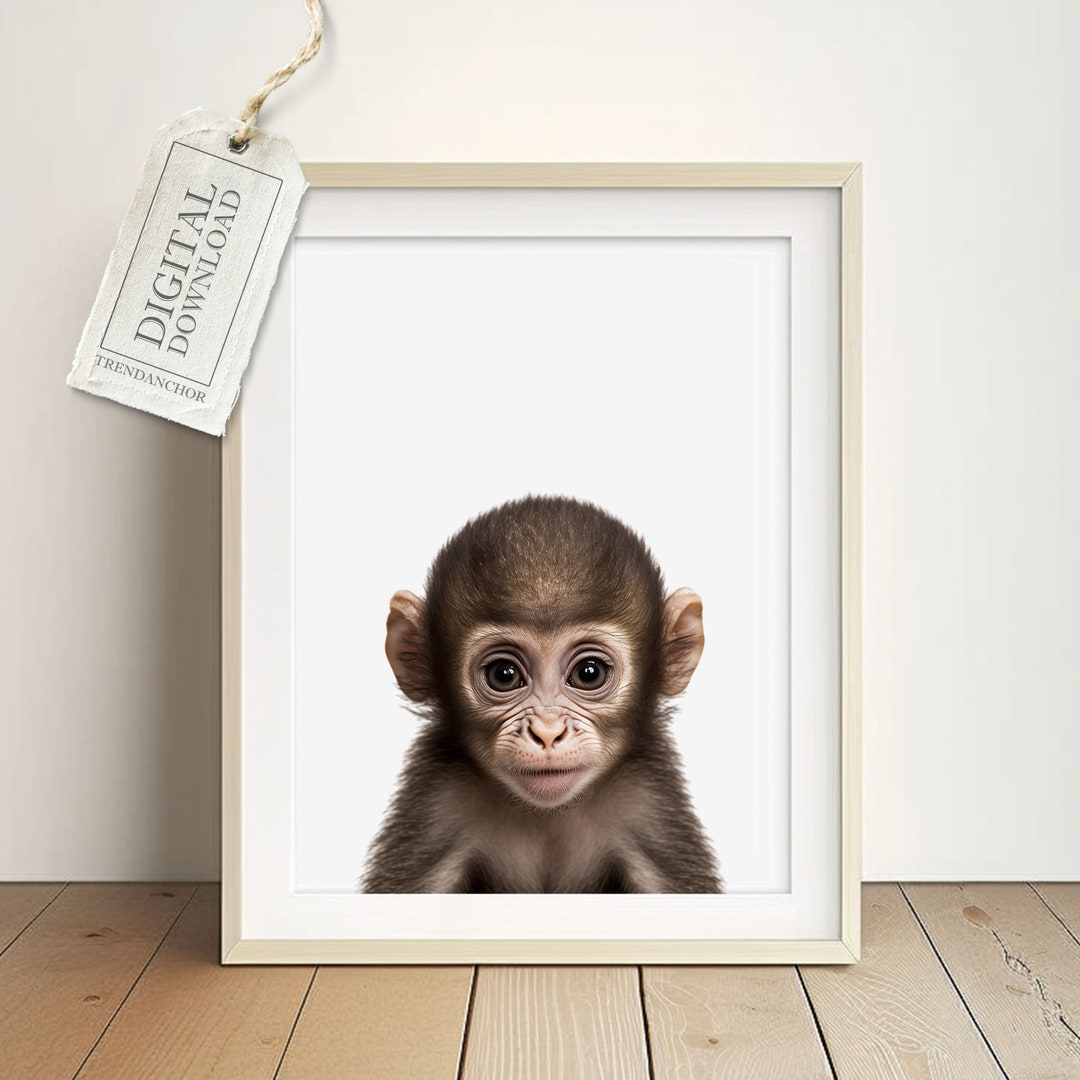 Baby Chimpanzee Safari Mural - Kids Room Wildlife Image, Cute Baby ...