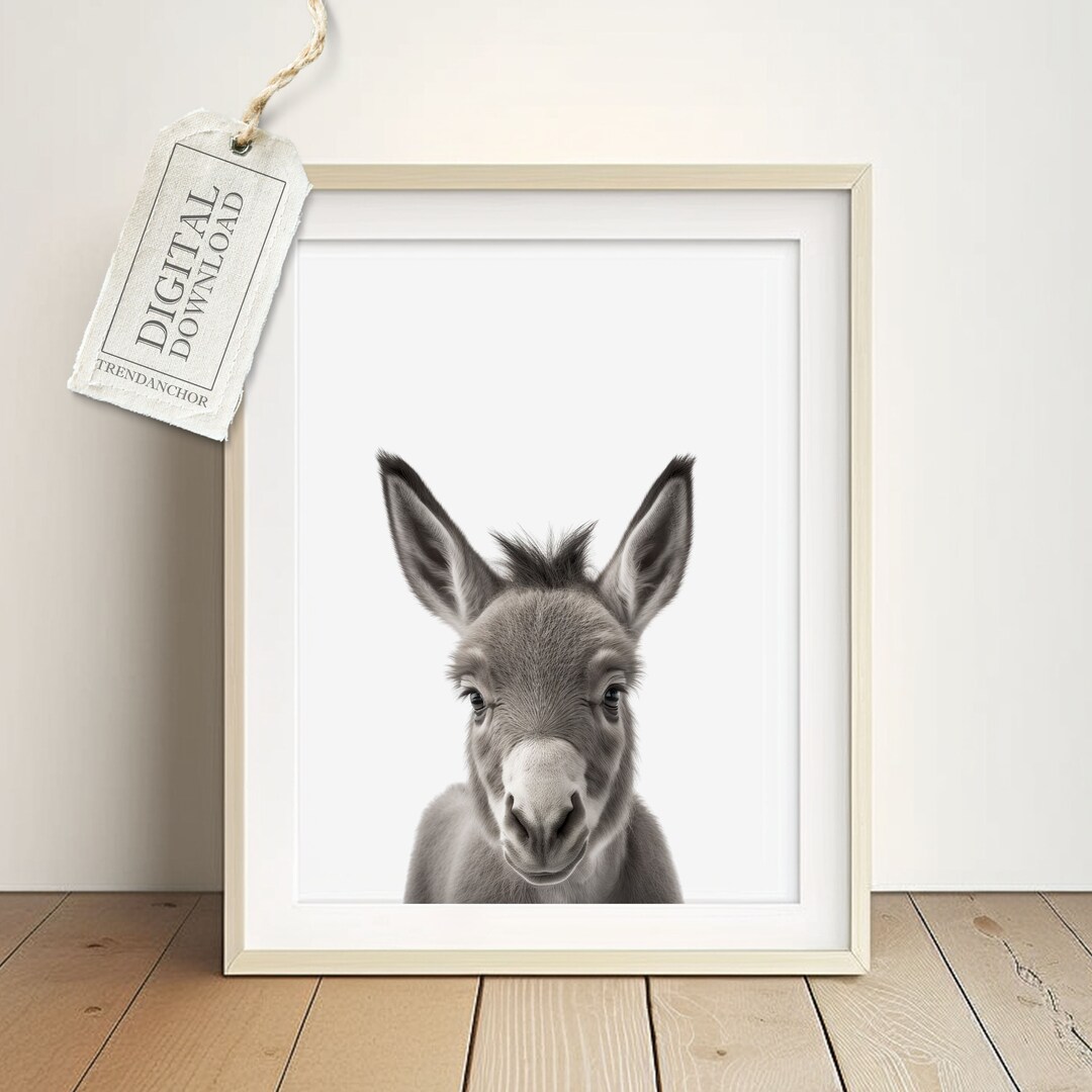 Baby Donkey Mural Photo for Kids Room Farm Animal Picture, Wall Deco ...