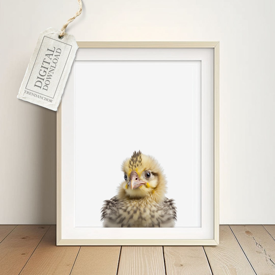 Baby Chick Farm Animals Poster for Kids Room - Chicken Mural Decoration ...